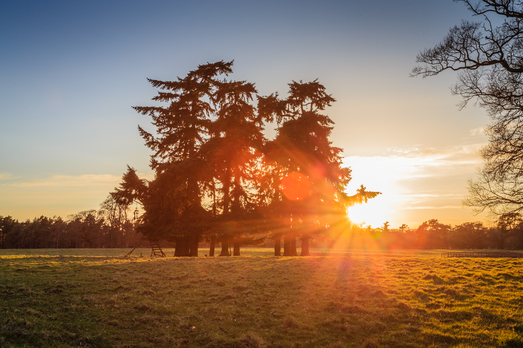 The Estate - Kinnaird Castle